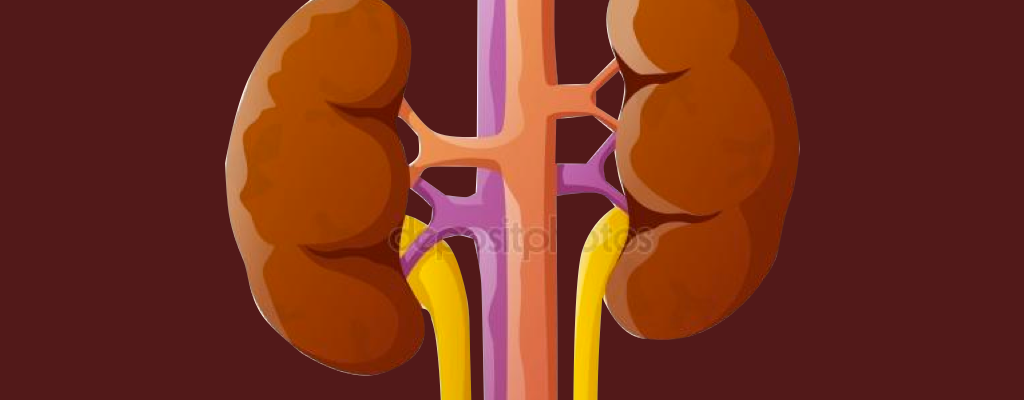 Hydronephrosis - Dr Sripathi
